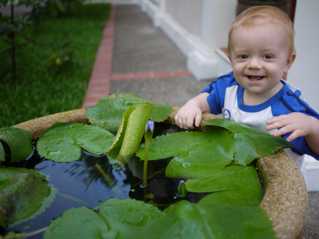 Dom smiling water lilly - LisaMcKayWriting